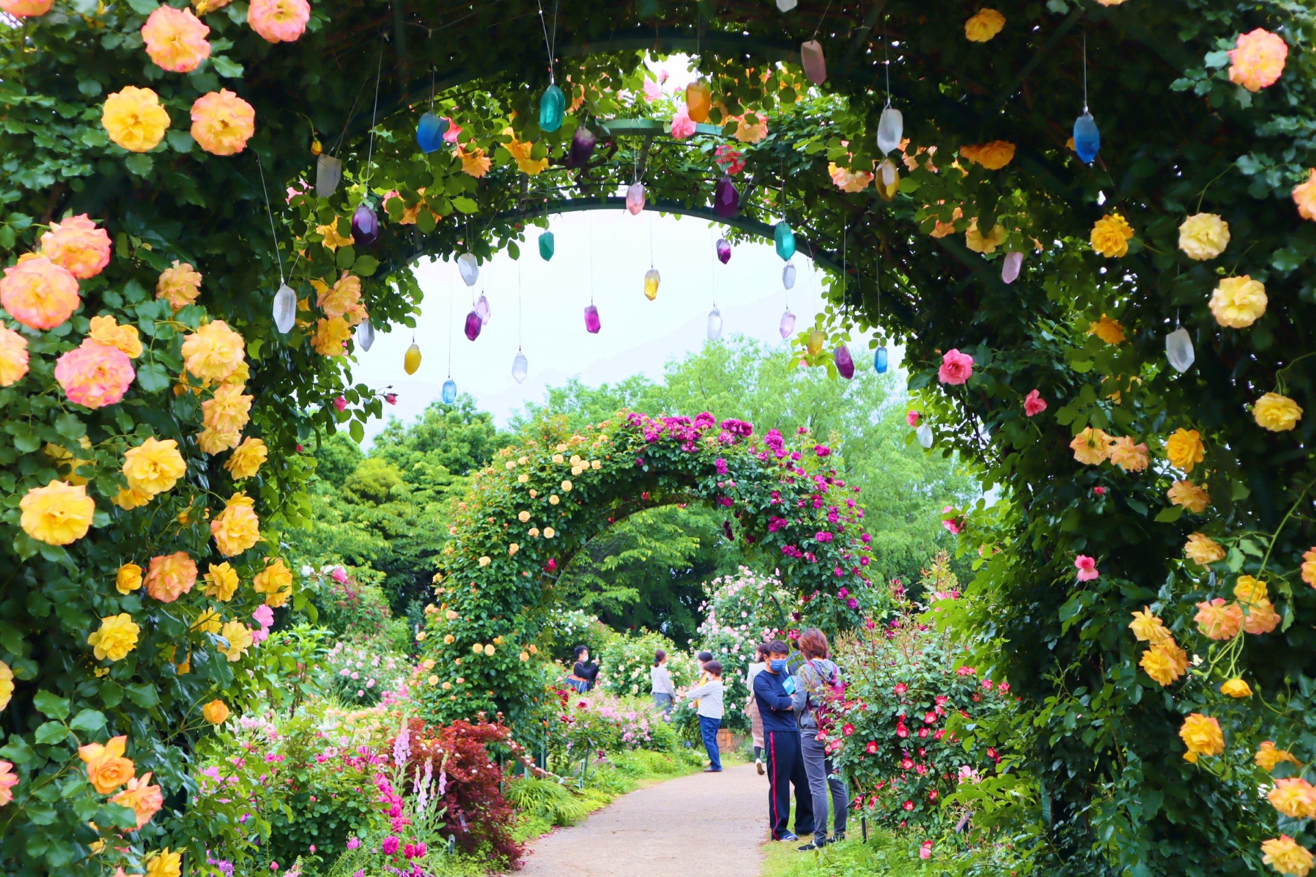 【まるで童話の世界！】美しいバラの花が楽しめる「京成バラ園」へ行ってきました